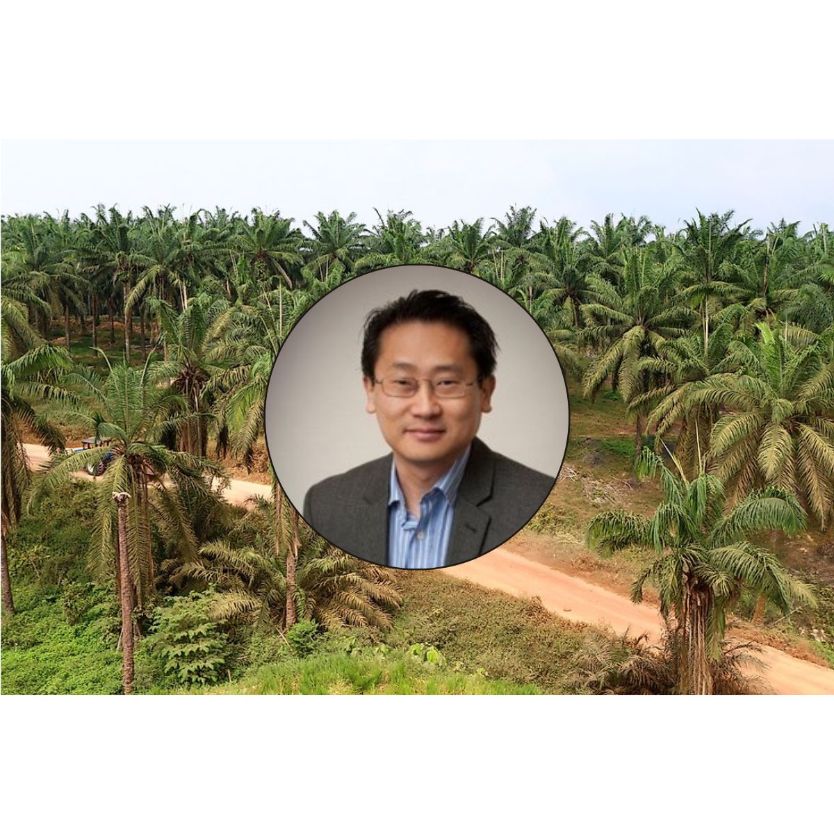 Chee Yew Wong and colleagues a paper: Transparency or Map-Washing ...