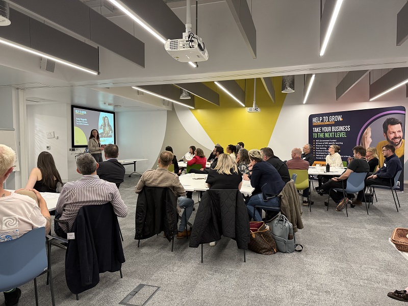 Help to Grow in the Spotlight: A Dynamic and Inspiring Evening for SME ...
